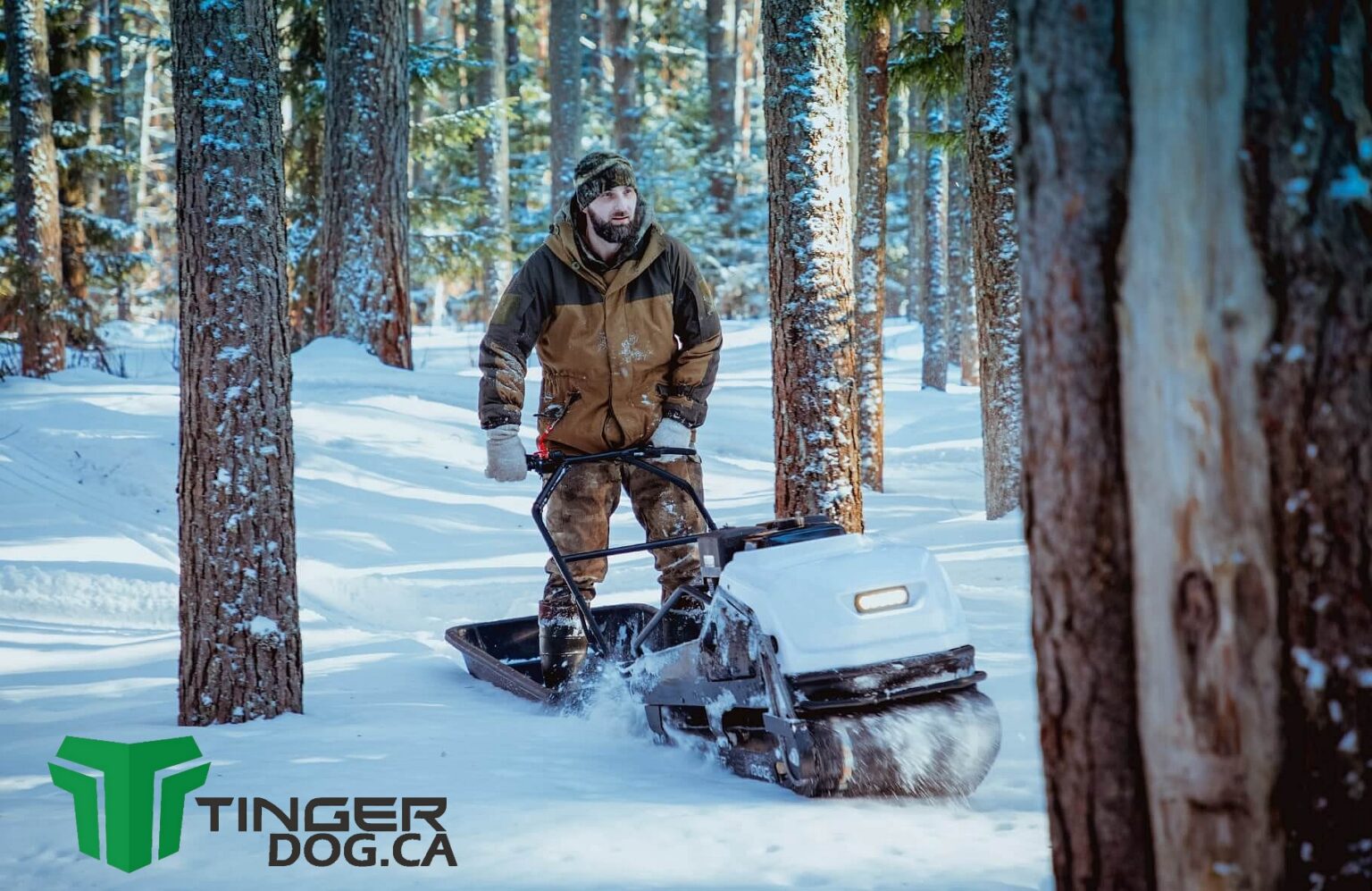 TingerDog.ca – La motoneige à haute performance hors-piste