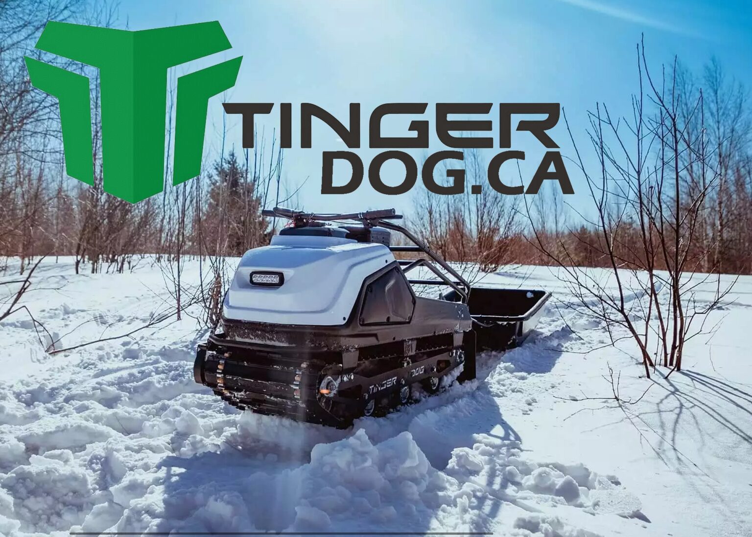 TingerDog.ca – La motoneige à haute performance hors-piste